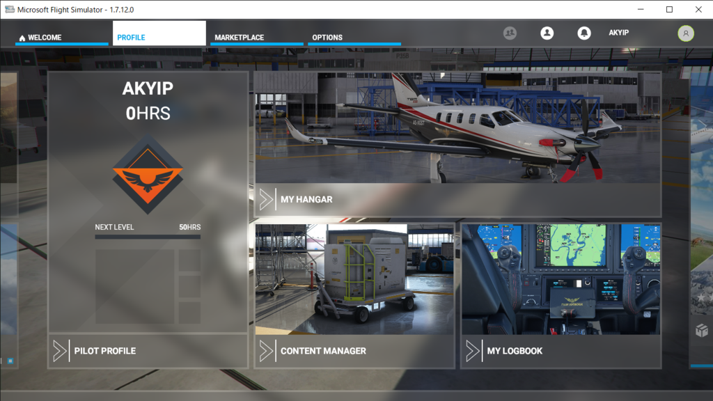 【Xbox Game Pass】Microsoft Flight Simulatorレビュー 日本語化は？不具合は？ - コワブロ