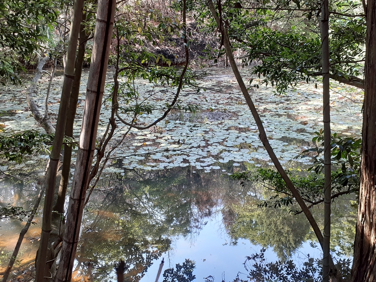 山の畑へ行く。 - 荒川三歩