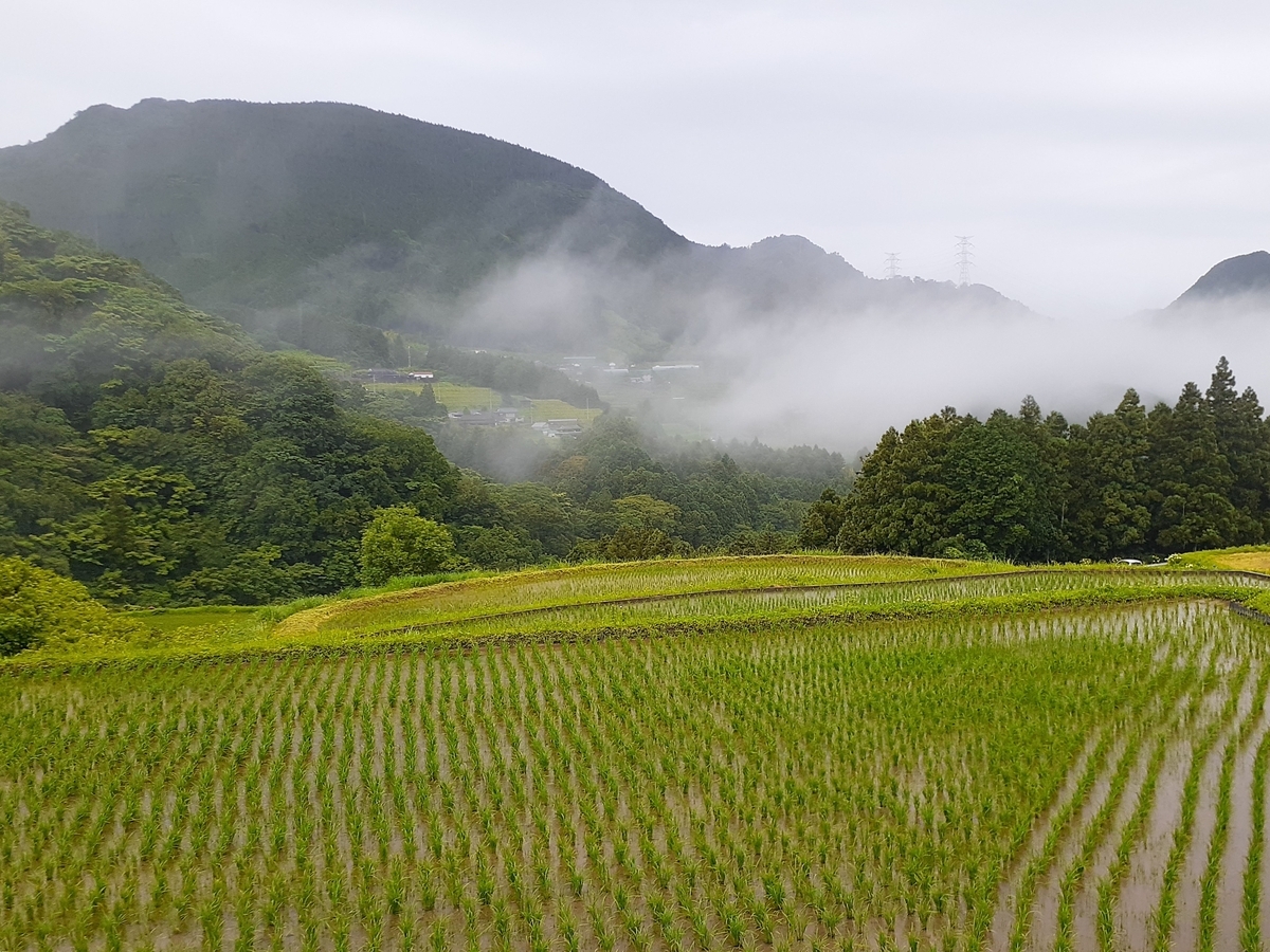 井内棚田へ行く。 - 荒川三歩