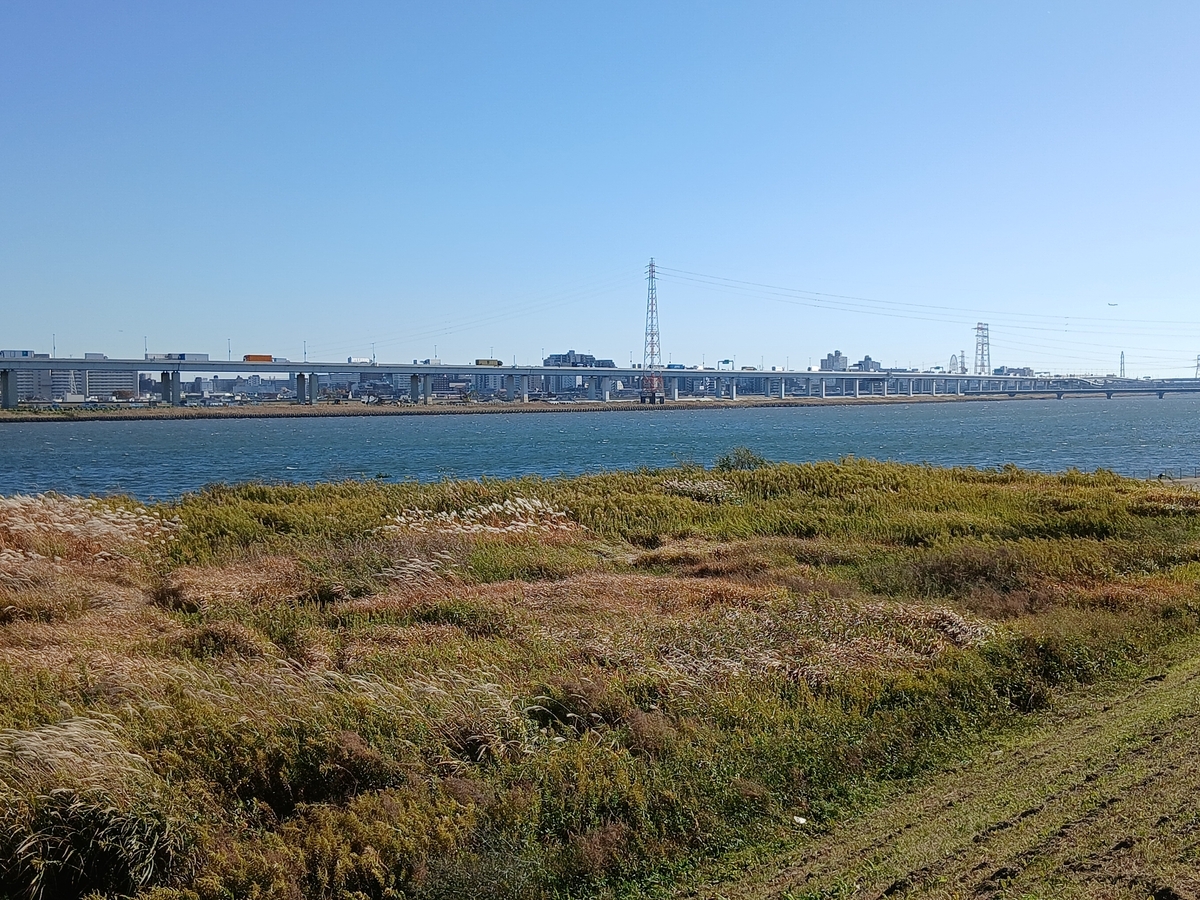 荒川ロックゲートからの景色 - 荒川三歩