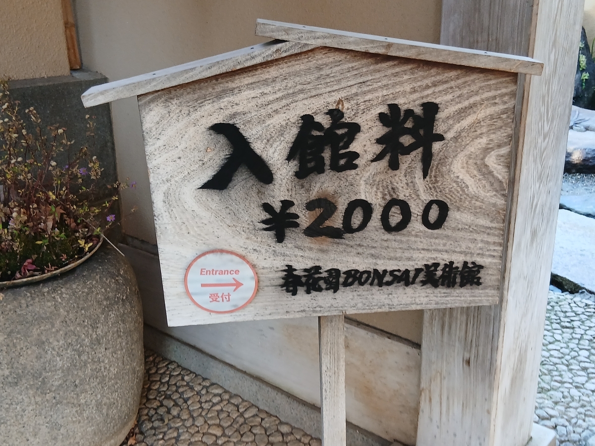 春花園の盆栽 - 荒川三歩