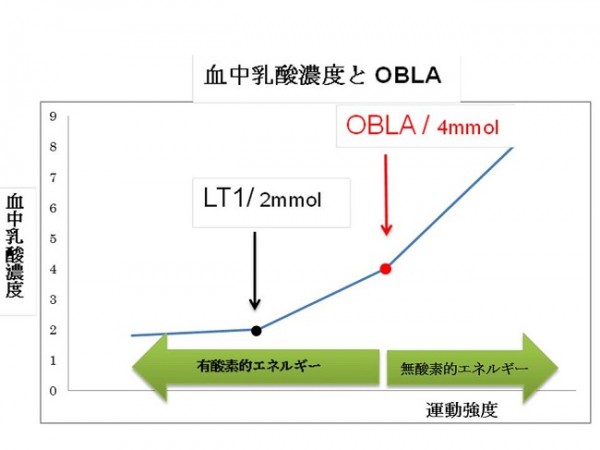 マラソン OBLA メニュー - 多趣味ブログ！