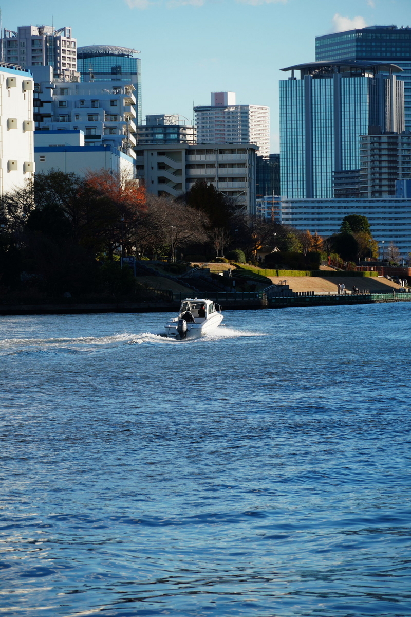 橋のある風景⑥隅田川を航行する水上バス「ホタルナ」 - 嵐、ゴルフ、ミステリーの日々2