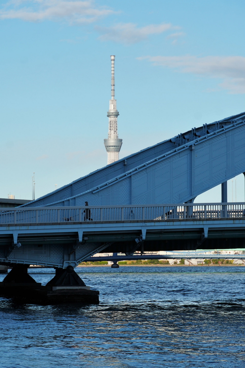 橋のある風景⑥隅田川を航行する水上バス「ホタルナ」 - 嵐、ゴルフ、ミステリーの日々2