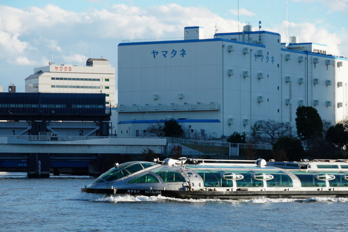 橋のある風景⑥隅田川を航行する水上バス「ホタルナ」 - 嵐、ゴルフ、ミステリーの日々2