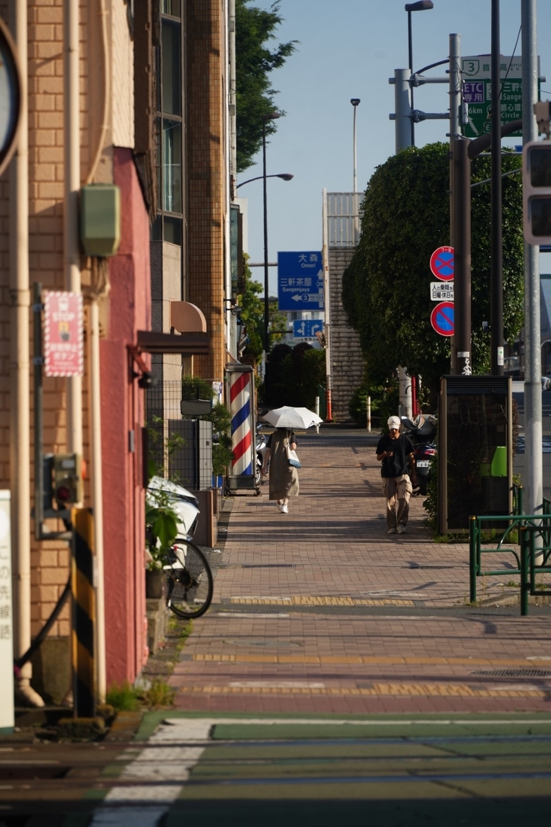 花咲く世田谷線各駅停車の旅④『若林駅から三軒茶屋駅へ』 - 嵐、ゴルフ、ミステリーの日々2