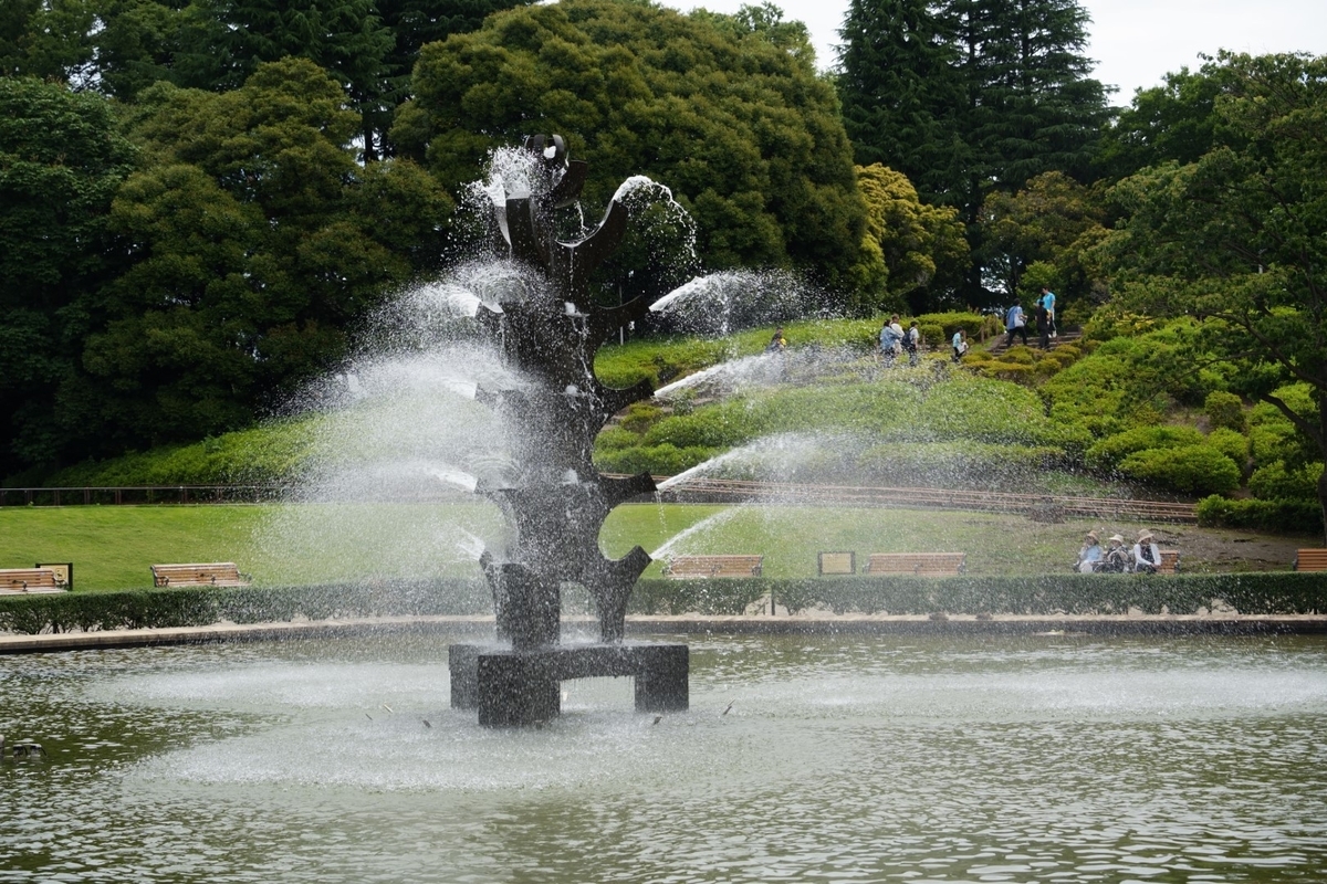 紫陽花の咲く街角⑦『世田谷公園の噴水広場からキンカン3姉妹ミニSLへ』 - 嵐、ゴルフ、ミステリーの日々2