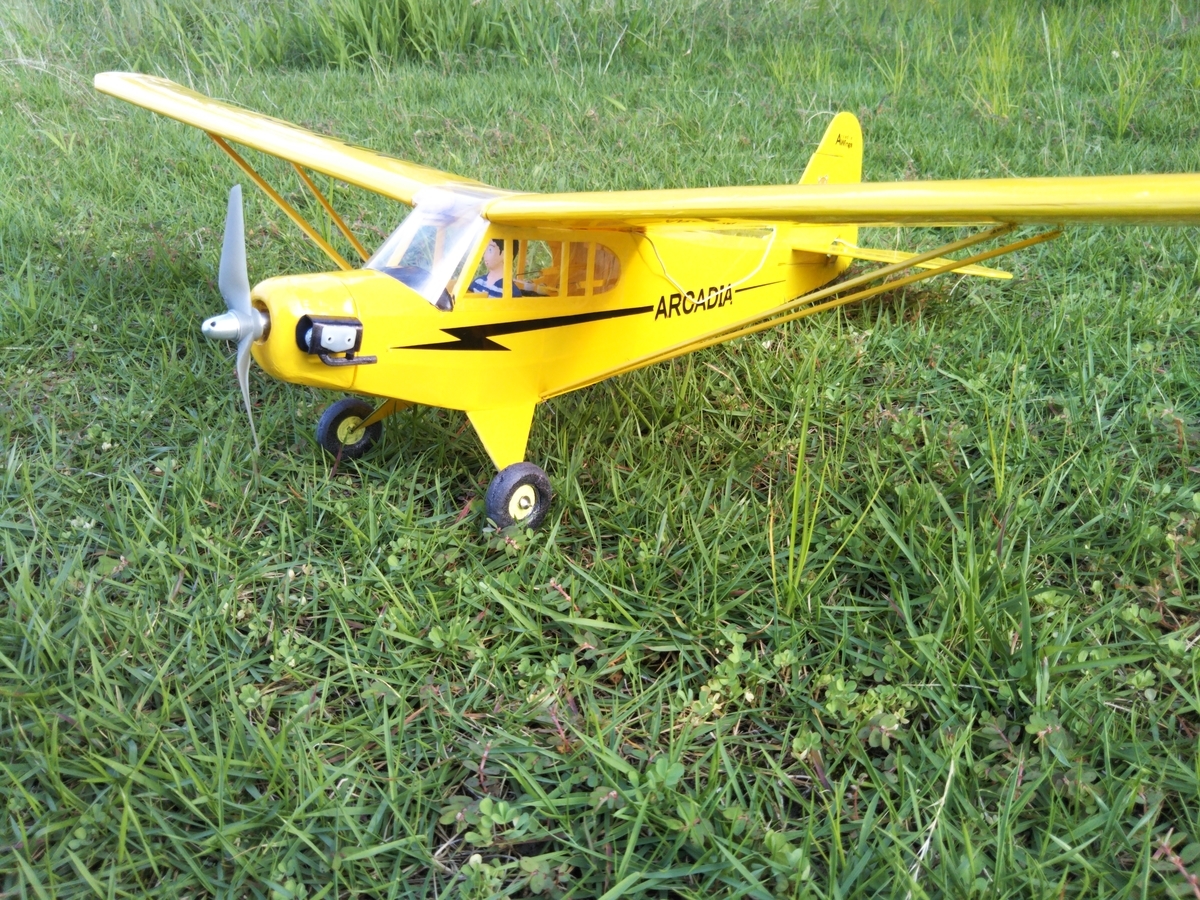 - arcadia_model’s diary