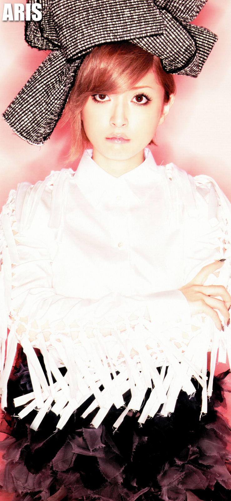 ViVi 2008.2 - Crescent Schale