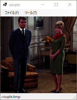 Visual Basic でOpenCV⑨ - ガンマ補正 - arques’s diary