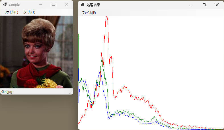 Visual Basic でOpenCV⑩ - ヒストグラム - arques’s diary