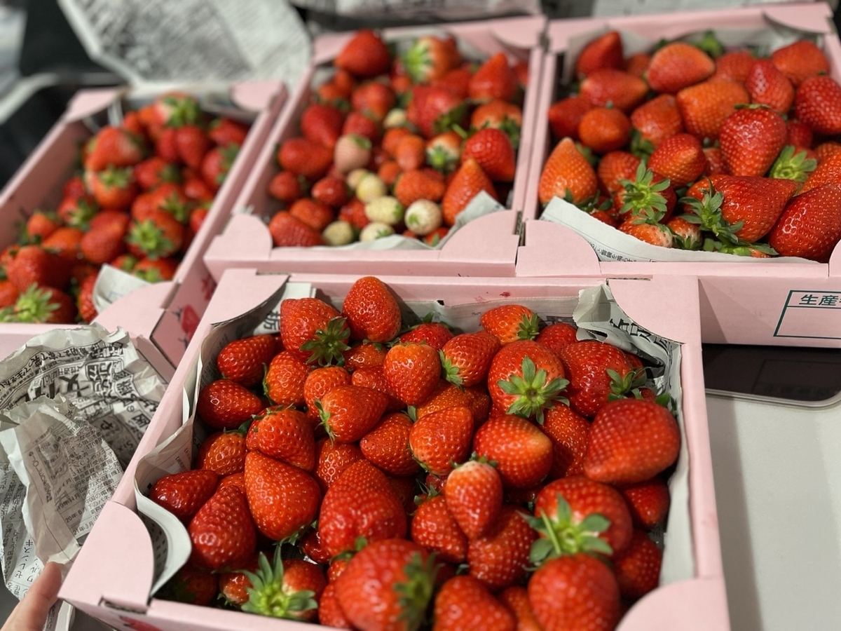 雨だー - arrs-s’s blog