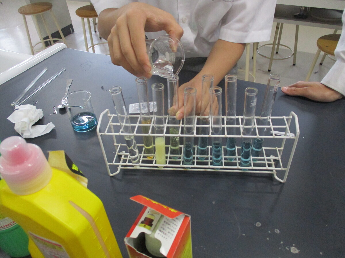 BTB溶液の色の変化を見てみましょ！ - アサンプション国際中学校高等学校自然科学部の日記