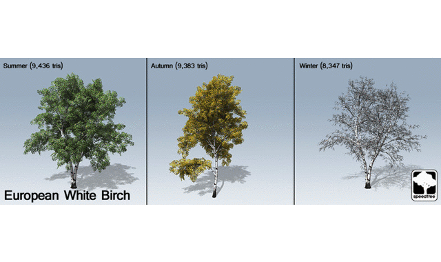 Desktop Trees Package 葉や枝、細部の作り込みが凄いSpeedTree製の「木」の3Dモデルパック - AssetStoreまとめ
