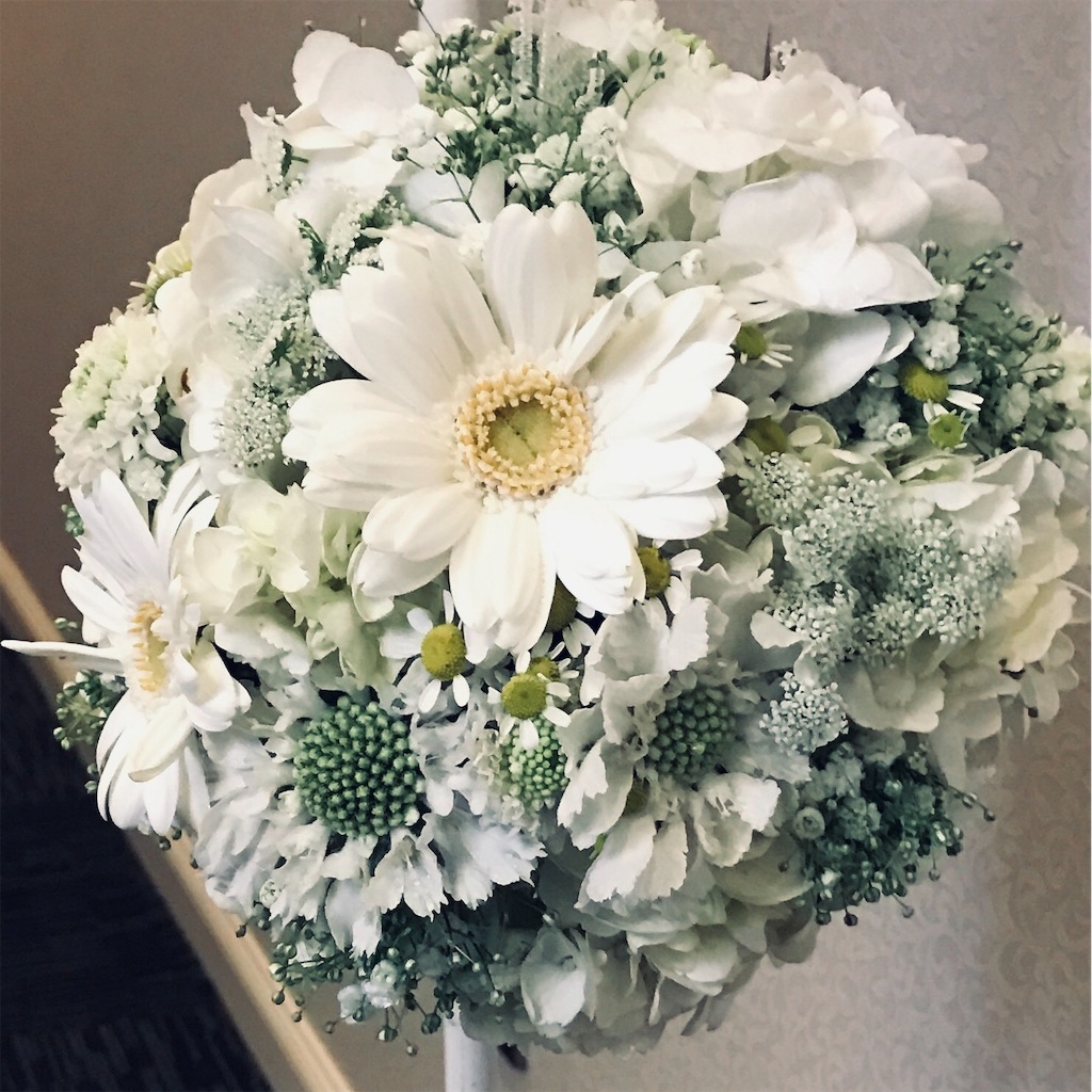 スカビオサの特徴とドライフラワー - はなめも。～花屋のメモ帳～