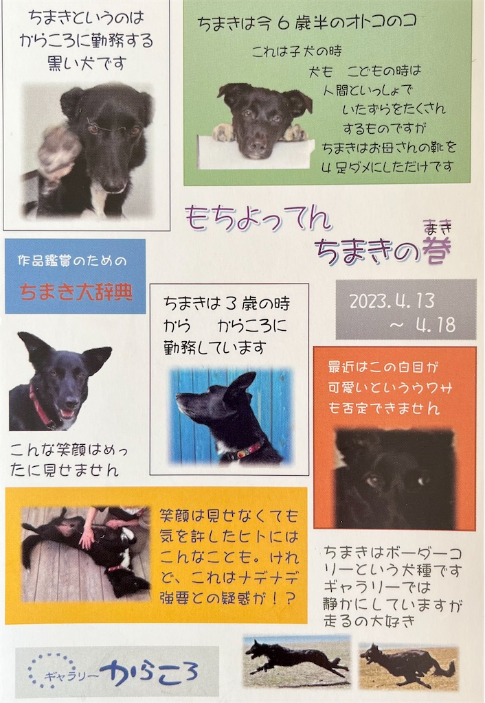 4月の出展 - さくら＊さく atelier soleil's work