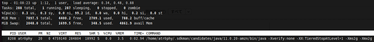 -Xmsと-Xmxを指定しても必ずしもすぐに物理メモリ上で確保されるわけではないという話 - HackToTech