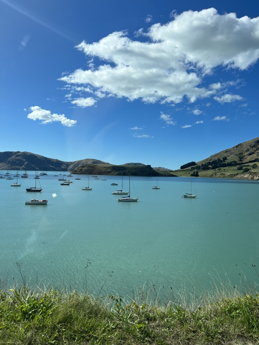 【クライストチャーチ】ダイヤモンドハーバーを望みながらコーヒーを。一息つける場所 - アユチャンのOkayDokey