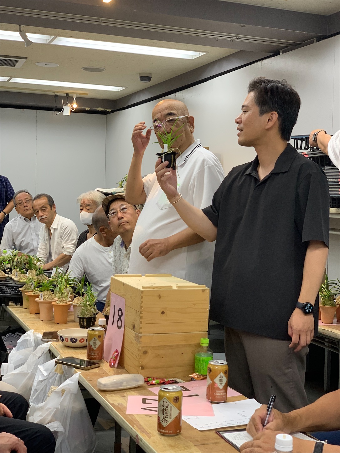 きょうは上野で交換会 東西富貴蘭会 - 純風満蘭（富貴蘭・風蘭ブログ 着生蘭よもやま話）