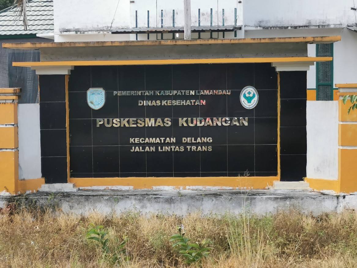 Bucephalandra sp"Lili Marleen"from Kudangan【AZ1024-3】 - azulaquarium’s diary