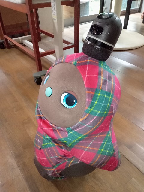 【ほっこり日和🍀】60.〘ラボット〙登場〜👀 - babasureiko’s blog