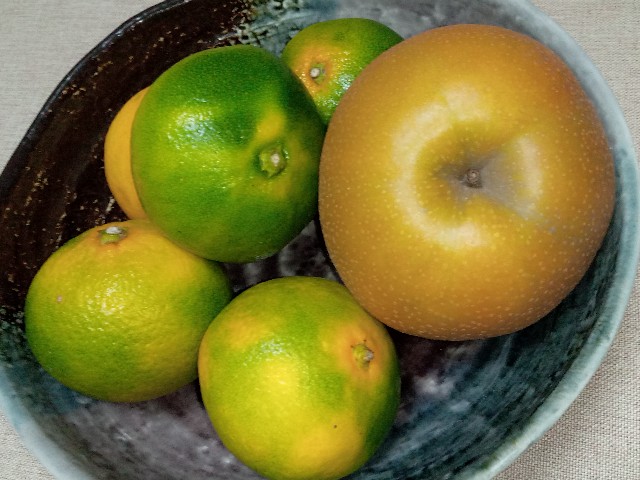 【ほっこり日和🍀】77.〘イメージトレーニング〙💪 - babasureiko’s blog