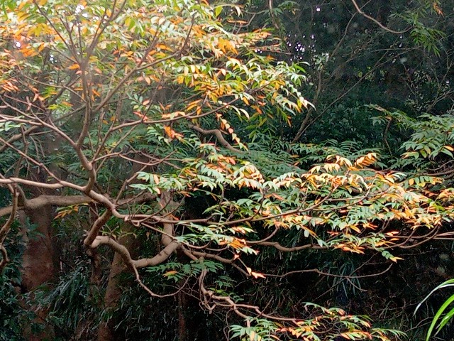 【ほっこり日和🍀】88.楽しい🎶お仕事〜💪 - babasureiko’s blog