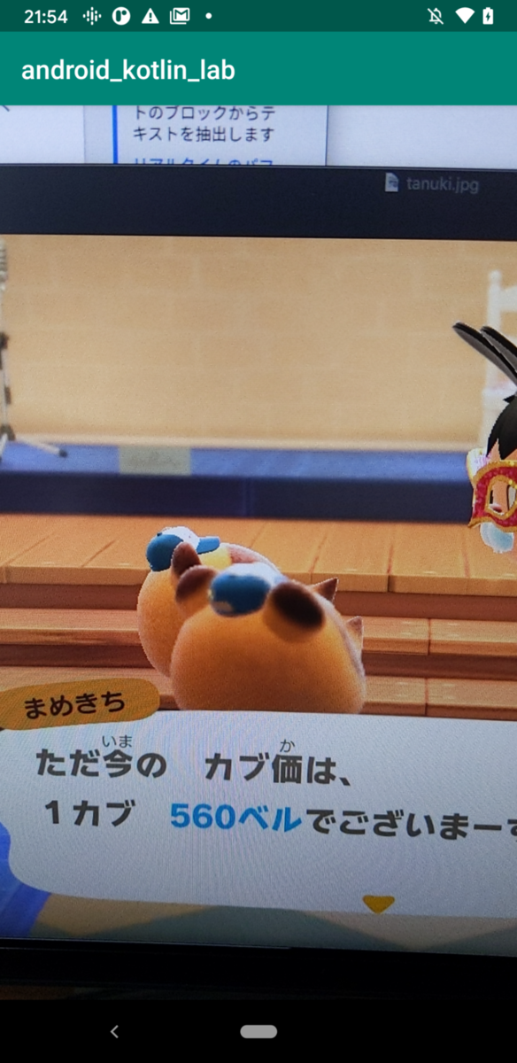 Androidカメラであつ森のカブ価を認識したい - BANBARA STUDIO