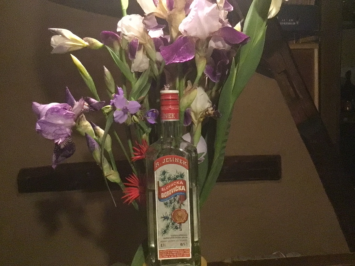 BOROVICKA - bar-oak's diary