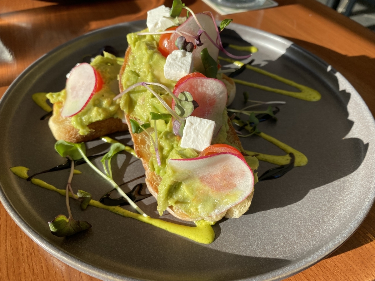 ケアンズ 2024年バス事情 31歳の旅 - 30代を楽しみたい／ばたりーdiary