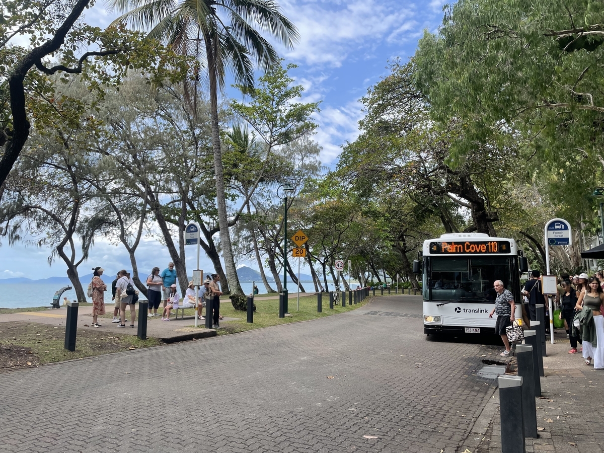 ケアンズ 2024年 パームコーブでセルフウェディングフォト - 30代を楽しみたい／ばたりーdiary