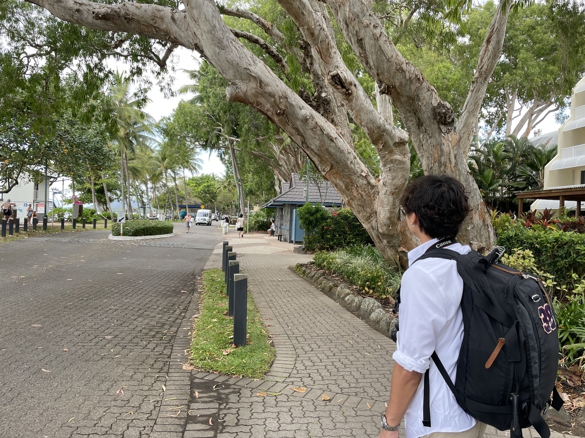 ケアンズ 2024年 パームコーブでセルフウェディングフォト - 30代を楽しみたい／ばたりーdiary