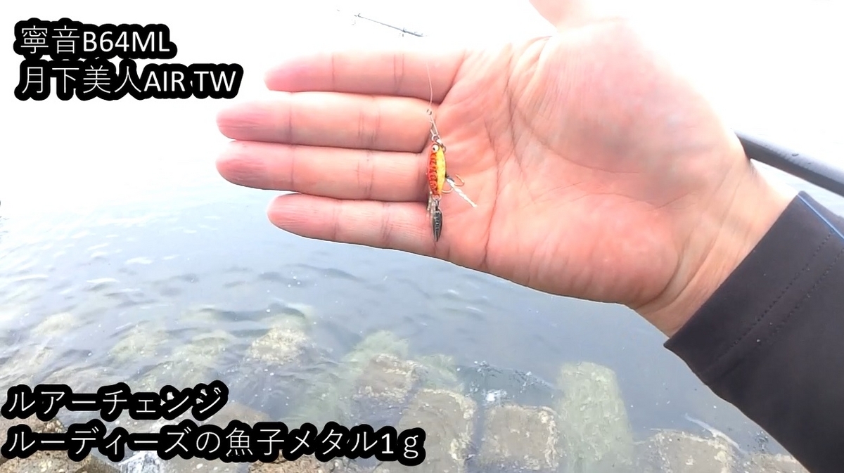 ラグゼの2023年最新ロックフィッシュロッド【シリーズ最短 寧音B64ML】 / 【シリーズ最長 寧音B79MH】を投げ比べてみたインプレなど - たまべら！～たまにはベラ以外も釣りたい～