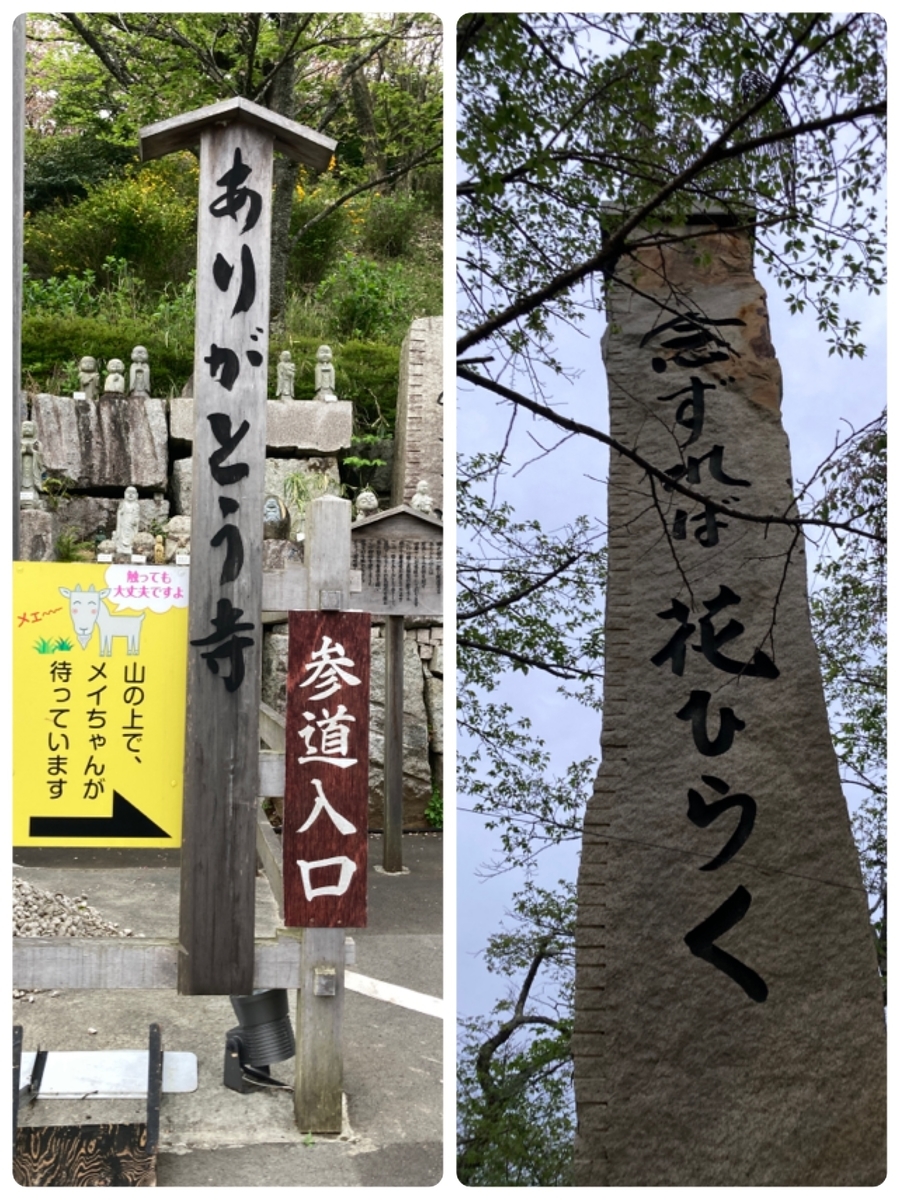 「UTMF 2022」会いたい人に会うスタート前① - やりました！ｻﾌﾞ3.5！洞爺湖マラソン！ 100キロを旅するように走りたい！