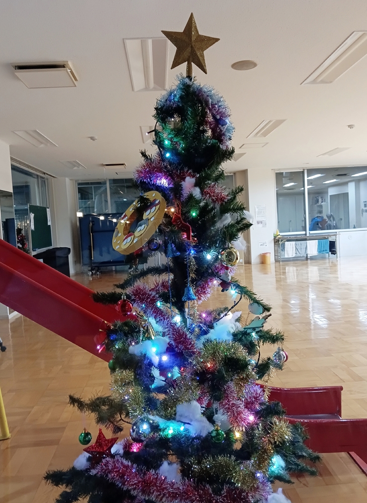 メリークリスマス🎄 - bibi-kirara’s diary