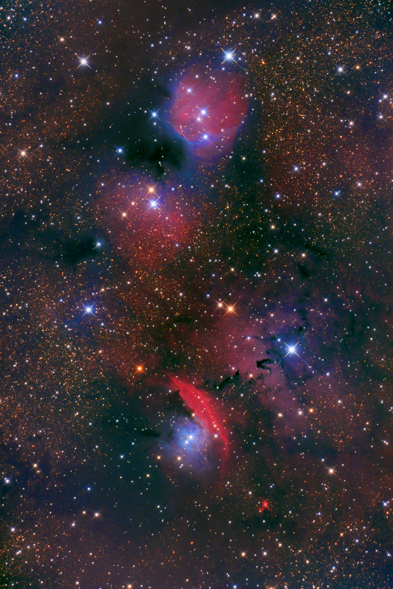 IC4685 - 独り言 〜鳥とか星とか〜