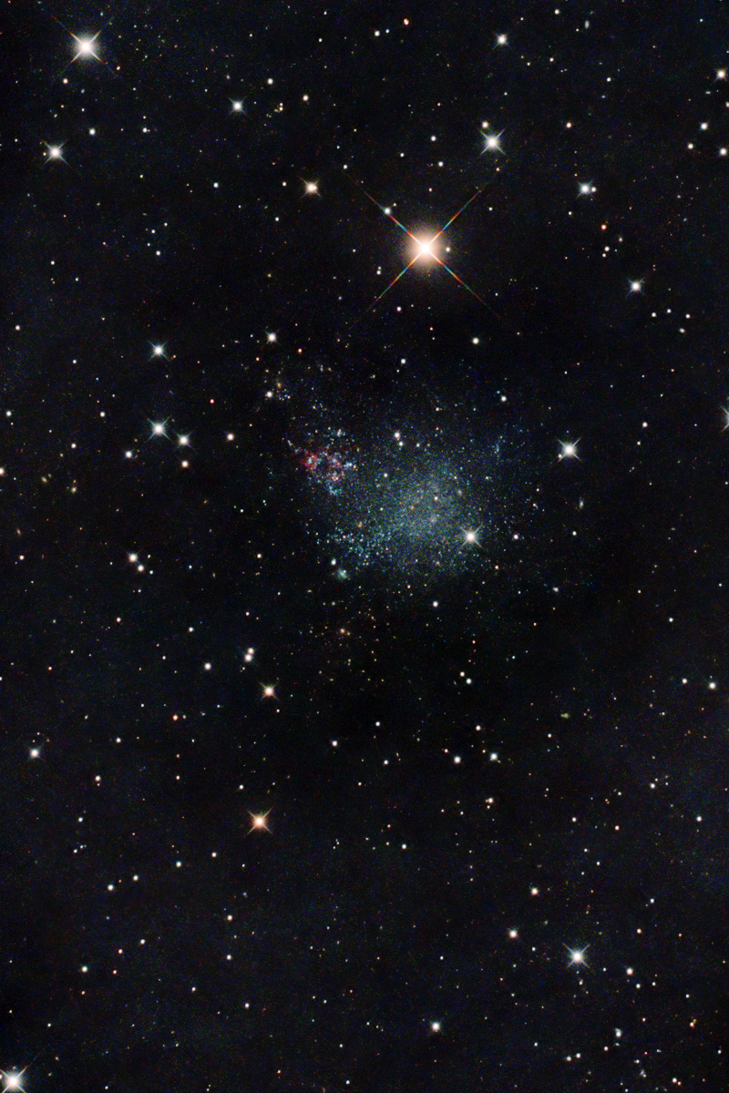 IC1613 - 独り言 〜鳥とか星とか〜