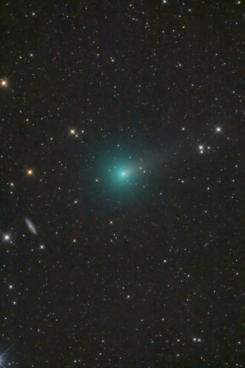 62P / Tsuchinshan 1 - 独り言 〜鳥とか星とか〜