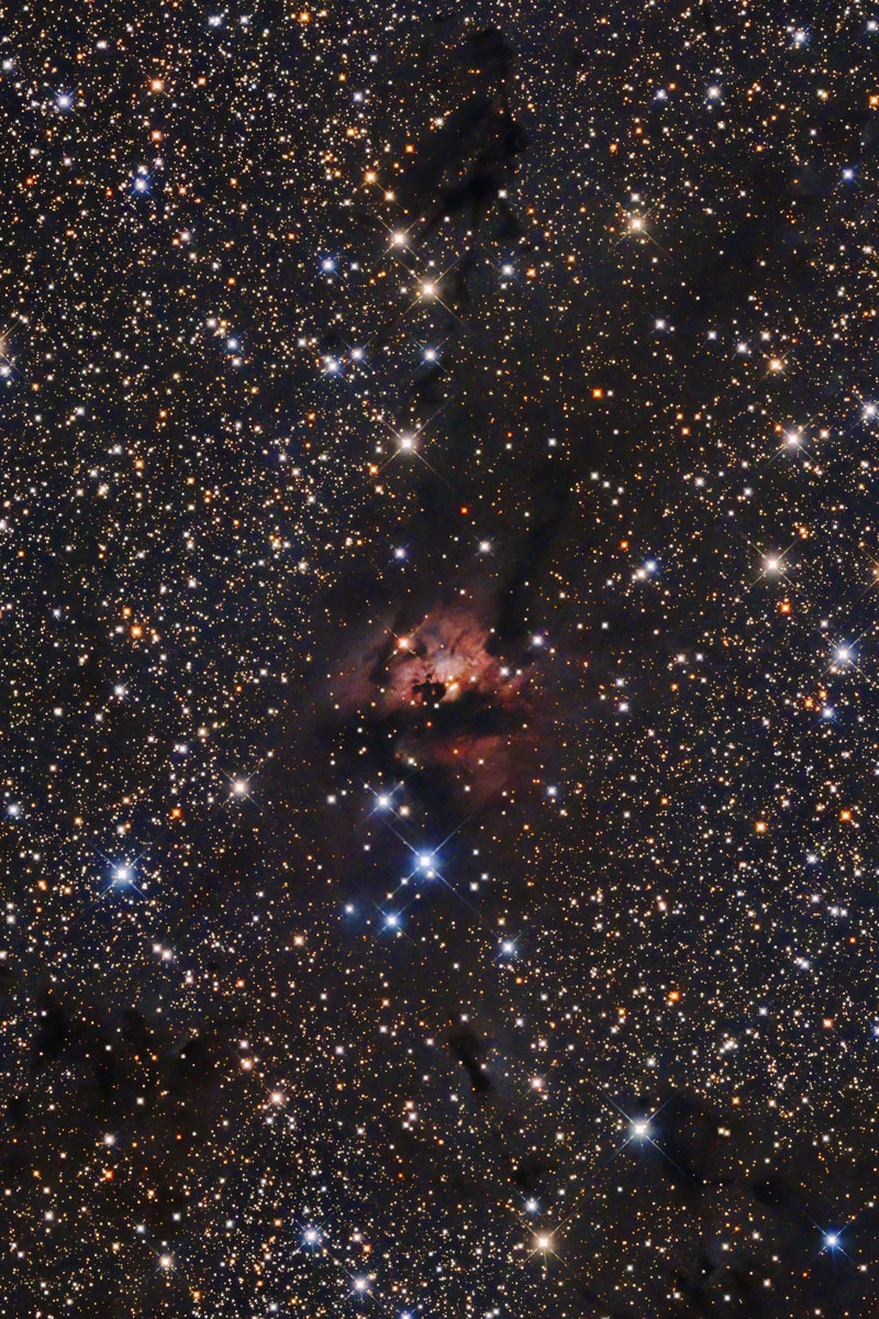 Sh2-187 - 独り言 〜鳥とか星とか〜