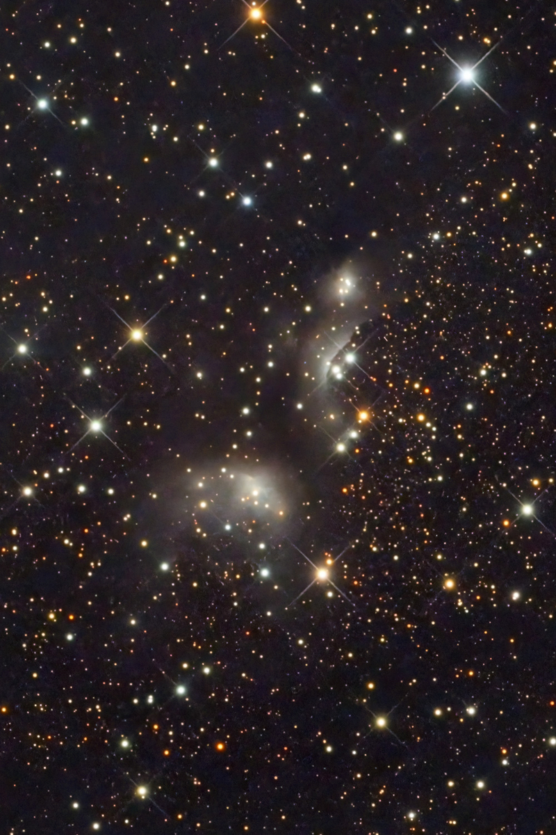 独り言 〜鳥とか星とか〜