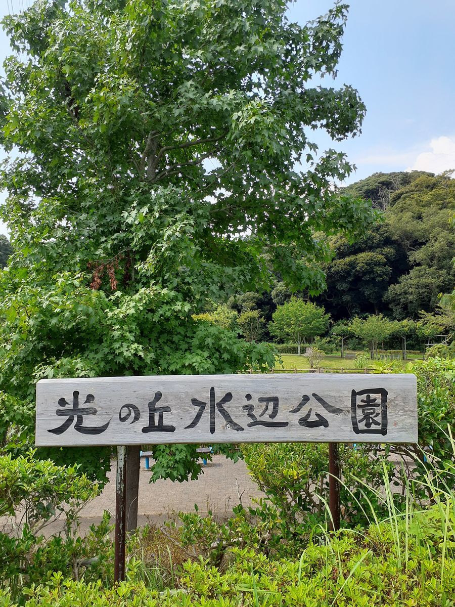 YRP癒しのエリア！ - 福嶋義信ブログ