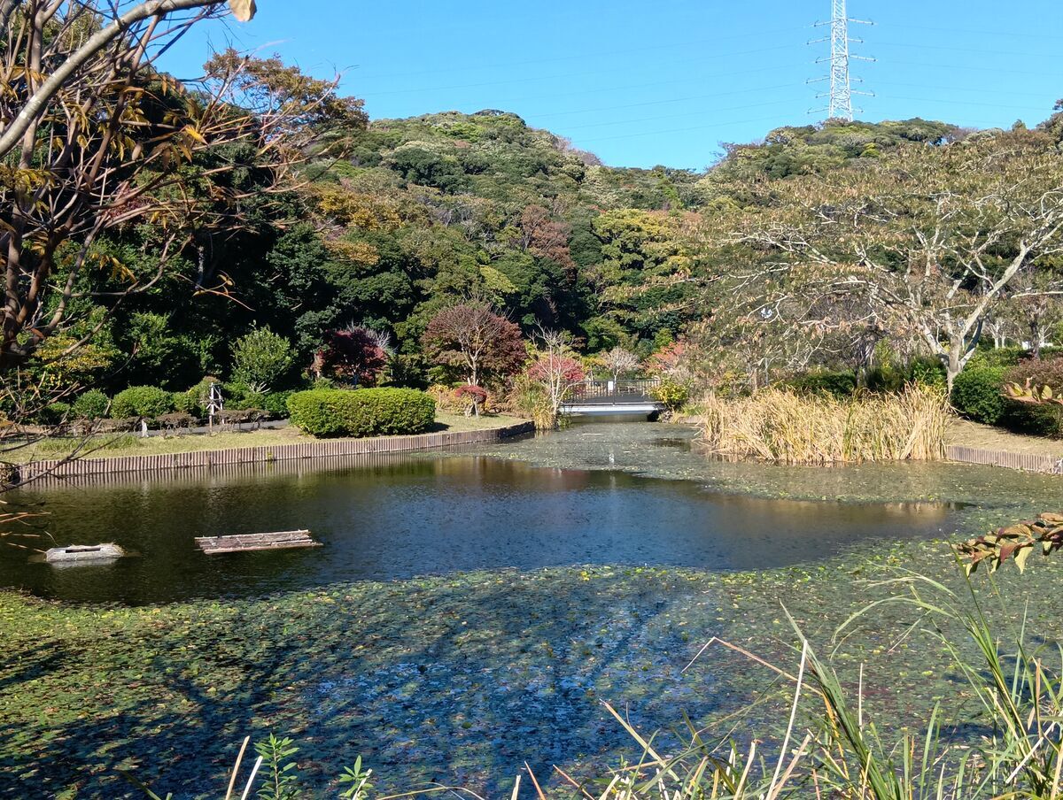 最先端技術開発集積地YRP！ - 福嶋義信ブログ