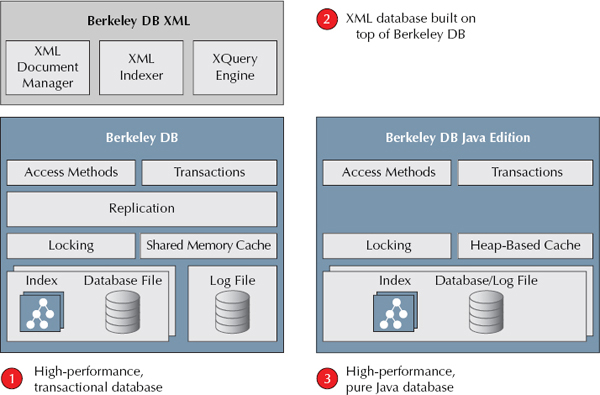 Oracle Berkeley DB - IT Guy