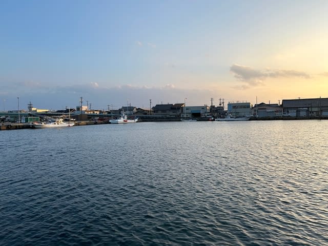 シラスパターンでセイゴ Mar.4 - Forest Sync.