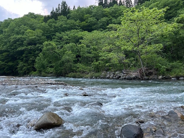 増水した川の午後 Jun.4 - Forest Sync.
