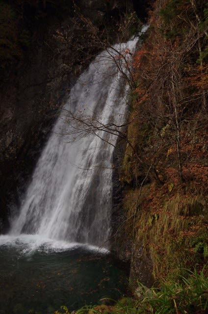 晩秋の渓 (out of season) Nov.11 - Forest Sync.