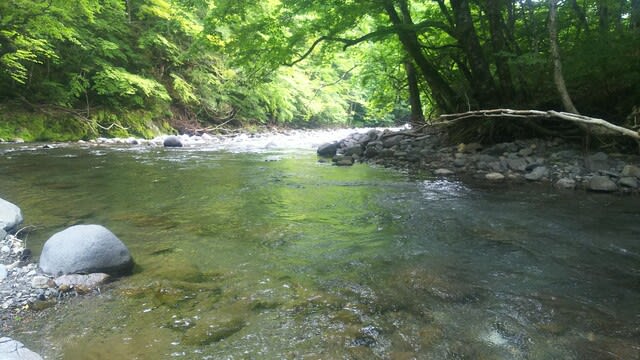 3人でライズを待つ夕暮れ Jun.18 - Forest Sync.