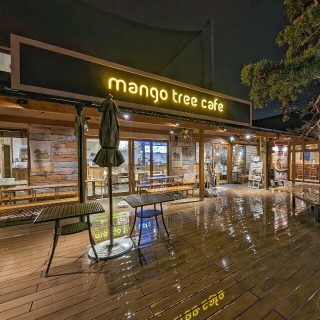リニューアルしたMango Tree Cafeで夜ご飯 毎日ご飯 - 見えない何かと戦うブログ 毎日のわくわくの正体