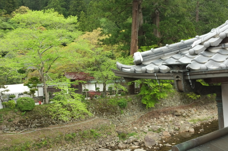 個別「20170506093938」の写真、画像 - bon-ku-ra's fotolife