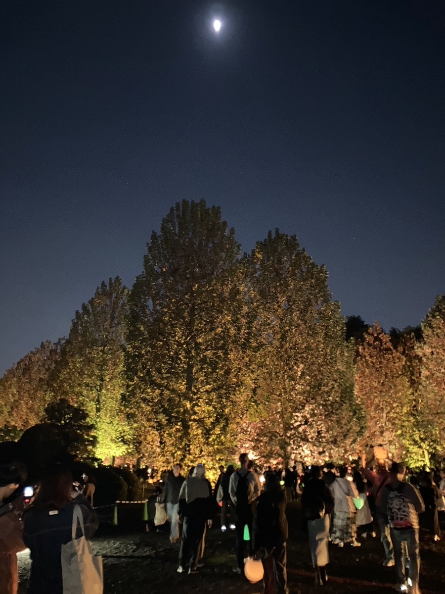 新宿御苑ライトアップ（紅葉編）行ってきた！ - booogie’s blog